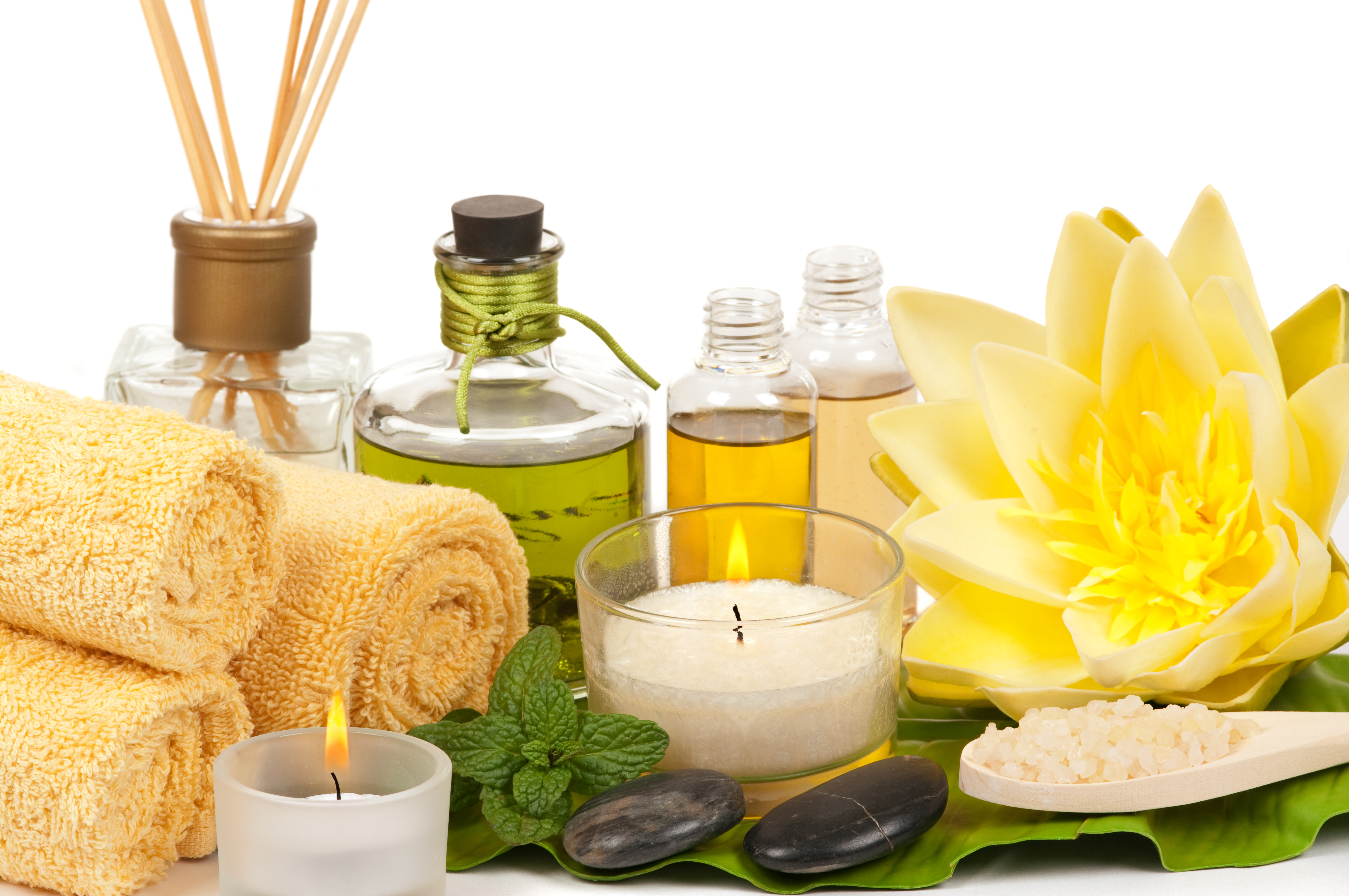 Holistic Remedies In Miami Coral Gables Shiva Wellness